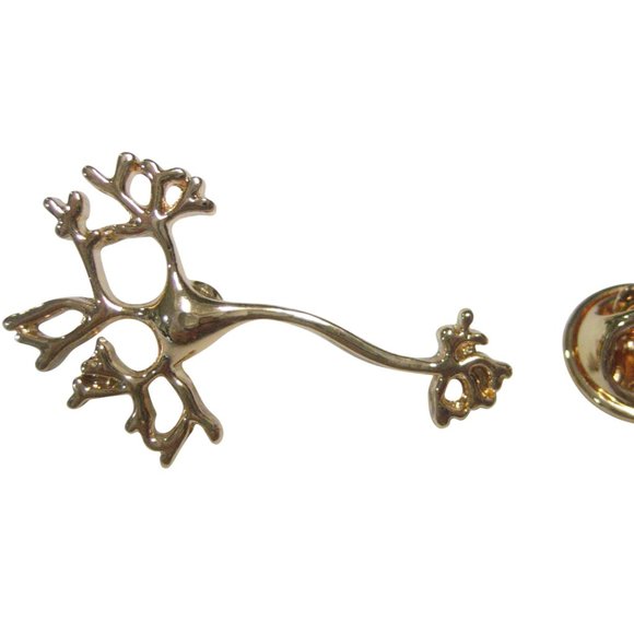 Kiola Designs | Accessories | Gold Toned Anatomical Neuron Nerve Cells ...